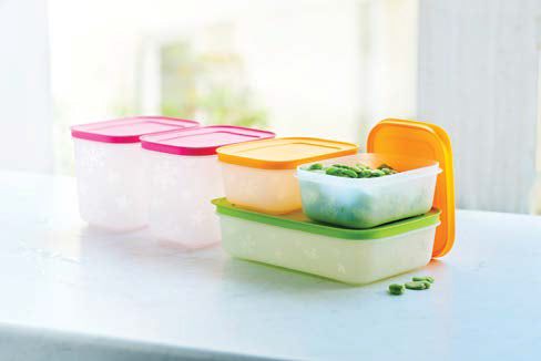 Tupperware Freezer containers – Tupperware World