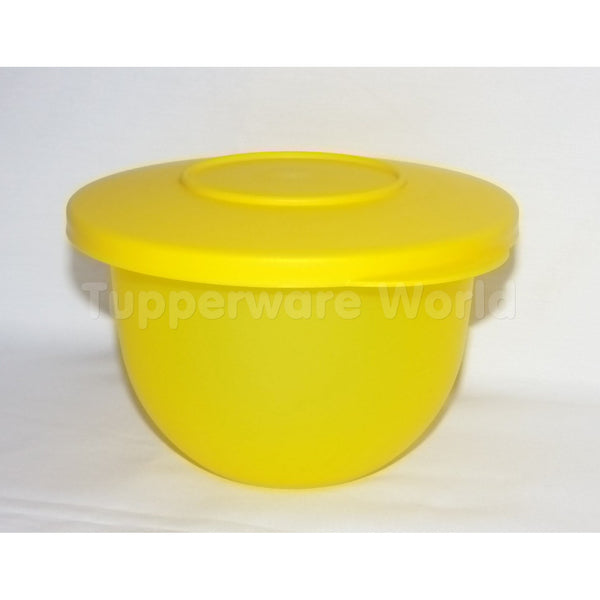 Tupperware Expression Bowls 500ml – Tupperware World