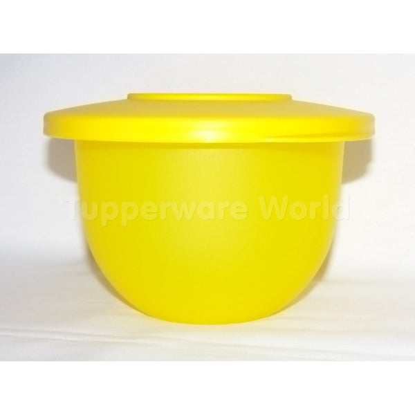 Tupperware Expression Bowls 500ml – Tupperware World