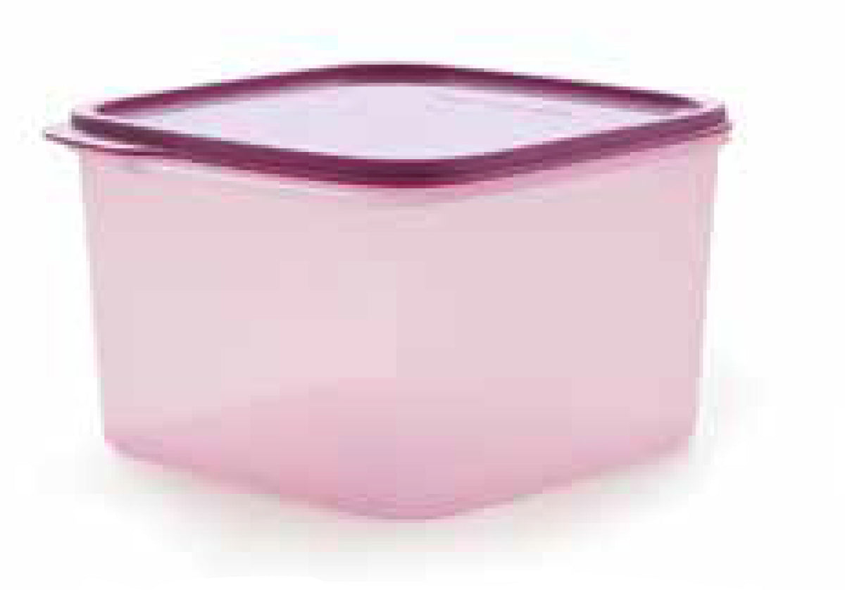 TUPPERWARE Space Saver Square 1.1L – Tupperware World